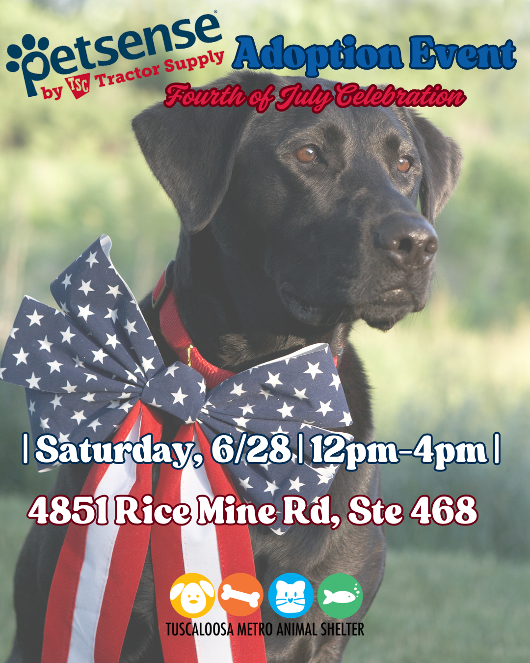 PetSense Fourth of July Adoption Event | Tuscaloosa Metro Animal Shelter