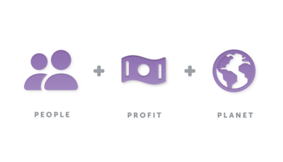 What is the triple bottom line and how can you implement it?