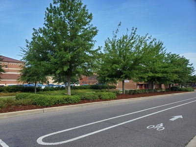 City of Tuscaloosa Receives $17.1 Million Grant for University Blvd ...