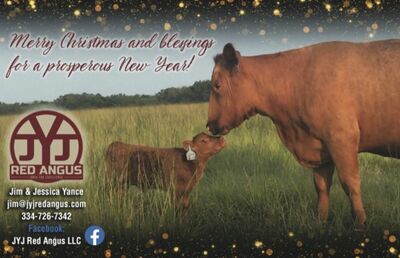 Faith, Family and Farming Red Angus