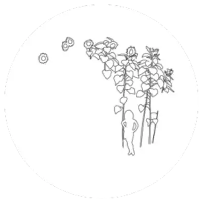 Clements Road Prose by Andrya Allen